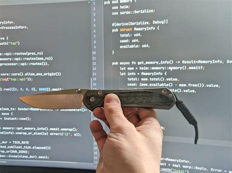 Rust Programming Language And Something That Won T Not Here In Montana R CRK