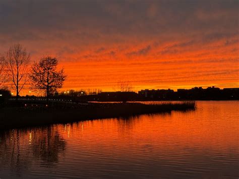 Alexandra Birleanu On Linkedin I Feel That My Career As It Is Is