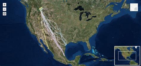 Tracking Birds Of Prey From Mexico To Alaska And Back Stamen