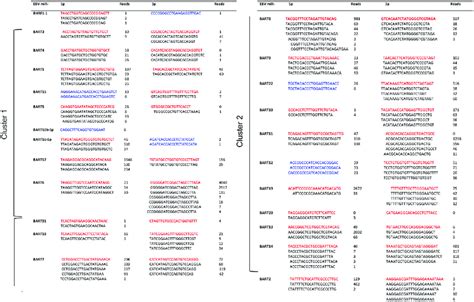 Small Rna Expression Profile Of Ebv Mirnas And Isomirs In Patient B