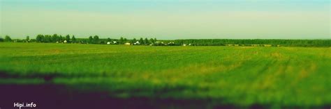 Twitter Header Image Green Grass Nature 1500x500