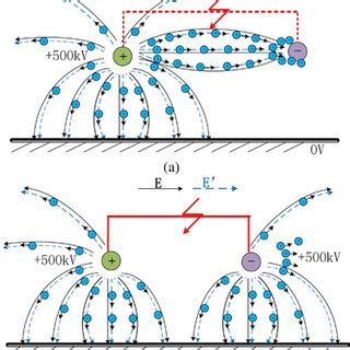 Simulations Of Permanent PPF A PPF In Electrostatic Field And B Download Scientific