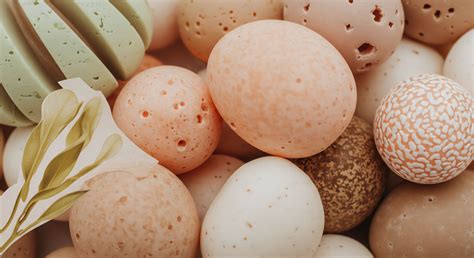 How Does Urbanization Affect Soil Biodiversity → Question