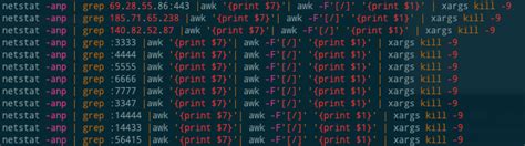 linux miner copies scripts removes other malware trend micro us