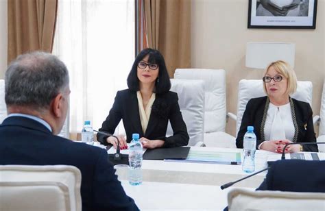 თეა ახვლედიანმა პარლამენტის წევრებს „სამოქალაქო თანასწორობისა და ინტეგრაციის 2021 2030 წლების