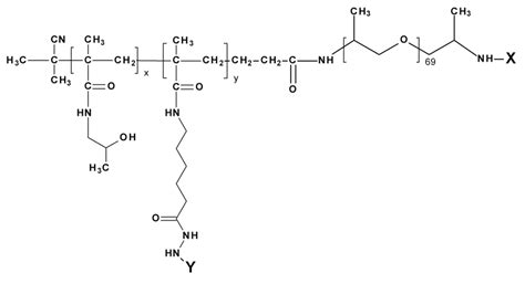 The Schematic Structure Of Amphiphilic Block Copolymers Based On Phpma