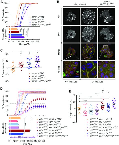 Alk And Pvr Regulate Developmental Timing And Body Size In Coordination