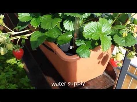 NRF L MySensors Arduino Balcony EasyIoT Server Irrigation Controller Arduino Arduino