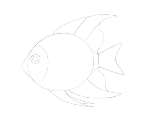 How To Draw A Tropical Fish Envato Tuts