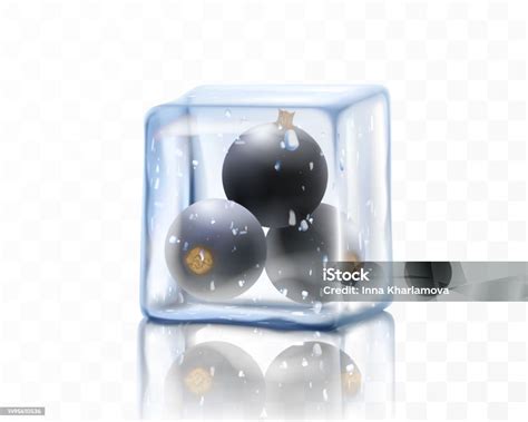얼음 조각에 있는 신선한 익은 검은 건포도는 투명한 배경에 분리되어 있다 냉동 검은 건포도 열매 사실적인 3d 벡터 그림 3차원 형태에 대한 스톡 벡터 아트 및 기타 이미지