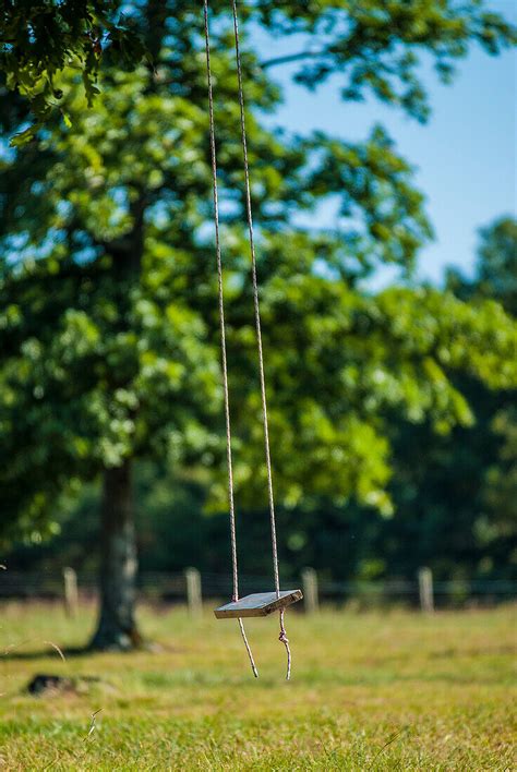 Tree Swing License Image 70453412 Lookphotos