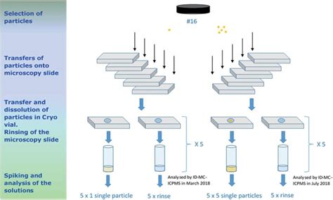 Flowchart Of The Sample Preparation For The Verification Measurements