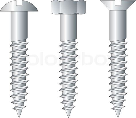 Vector Illustration Of Screws Stock Vector Colourbox