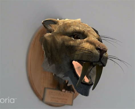 Smilodon Fossil 3d Printing And Augmented Reality Eddie Carbin