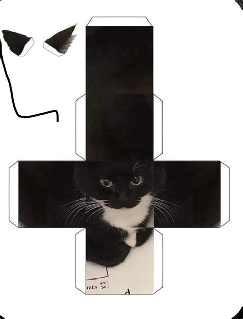 Cat Cube Artofit