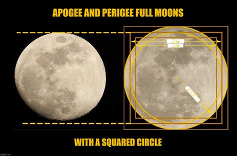Fibonacci Memes And S Imgflip