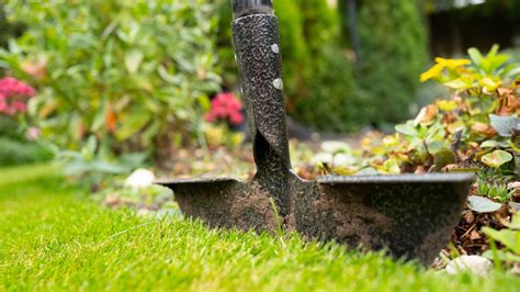 Best Edging Tools To Sharpen Up Your Garden 2024