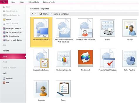 Manage Your Expenses With Microsoft Access Database Templates