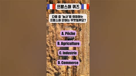 오늘의 프랑스어 퀴즈 시리즈 프랑스어배우기 프랑스어기초 프랑스어회화 프랑스어발음 프랑스어못하는척 프랑스어노래