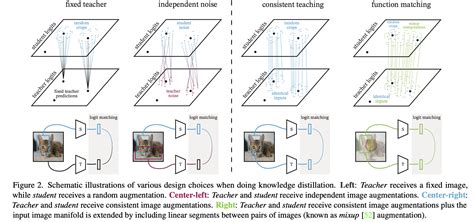 Simple Review Knowledge Distillation A Good Teacher Is Patient And Consistent