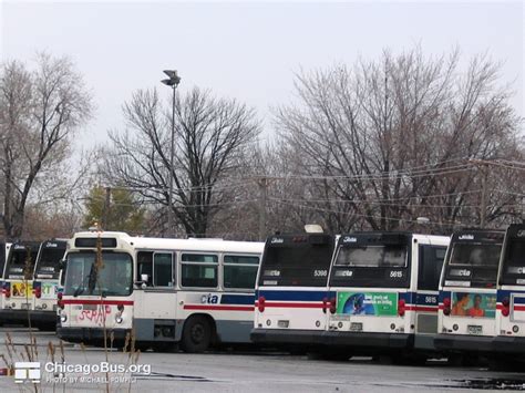 7300 Series Man Articulated Chicago Cta Buses