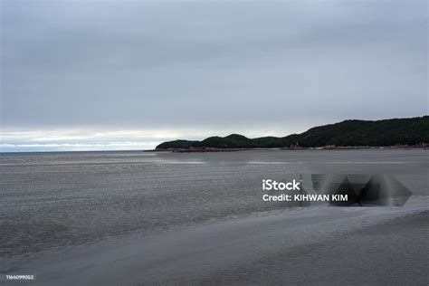 흐린 날 무이도 섬 한국의 썰물 때 하나개 해변의 아름다운 풍경 갯벌에 대한 스톡 사진 및 기타 이미지 갯벌 0명 건물 외관 Istock