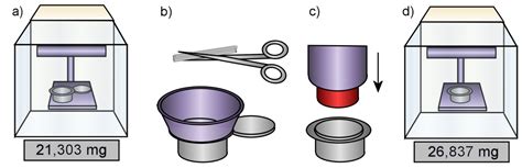 Thermal Analysis Of Phase Transitions And Crystallization In Polymeric Fibers Intechopen