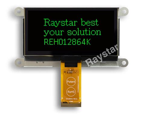 Reh012864k Raystar Optronics Inc