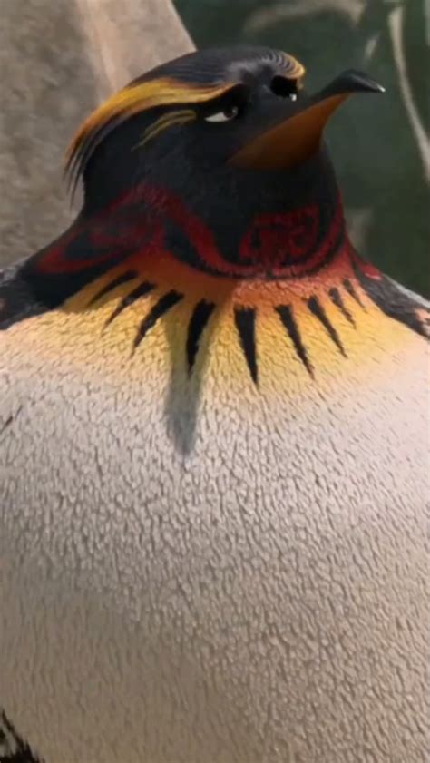 Wachito Promedio R Tutisvalentine