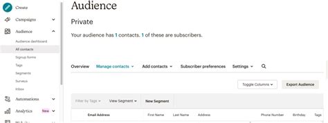 How To Import Contacts To Mailchimp Wiyre