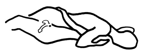 What Does Thrusting Feel Like For Women During Sex R AskWomen