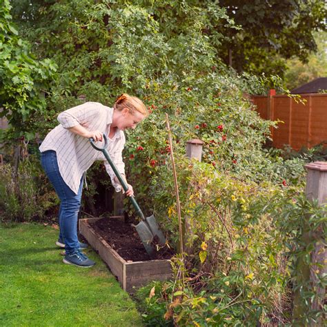 How To Revive Your Grass 5 Common Problems And Solutions Dengarden