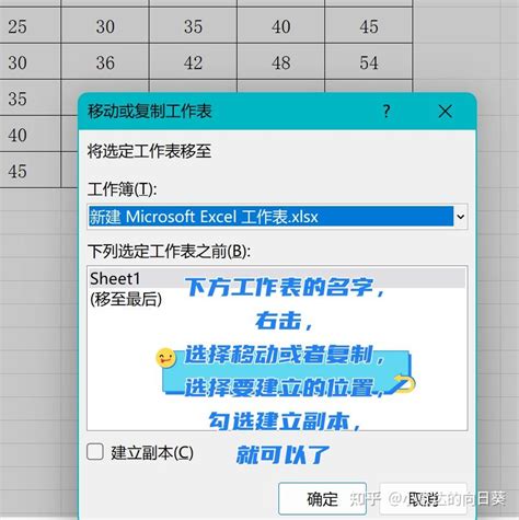 每天学习一点点 Excel 工作表相关技巧 知乎