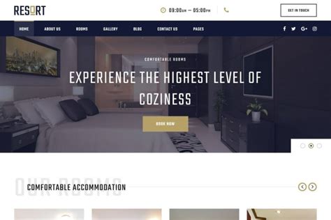 Wordpress Web Design Full Stack Develop Nodejs React Express For