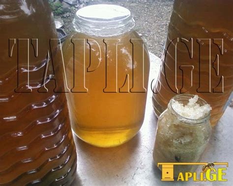 თაფლი Tapli Ge თაფლი თაფლის არაყი ცვილი სხვა თაფლი