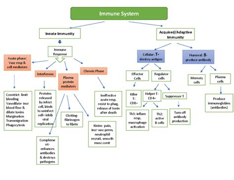 Concept Map Immunology At Neta Humphrey Blog Concept Map Immunology At Neta Humphrey Blog