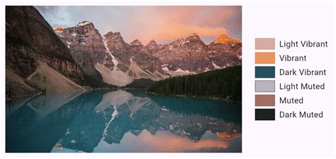 Bosan Pakai Tema Statis Terapkan Dynamic Color Di Flutter Yuk