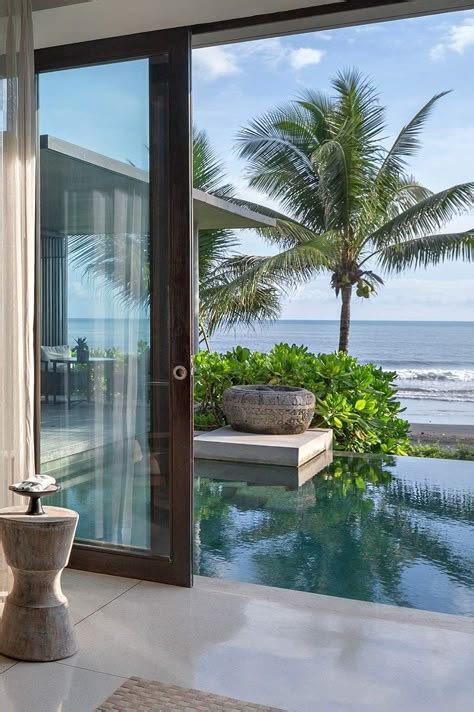 Сочная груша в 2025 г Иллюстрации фруктов Груша Фотография фруктов