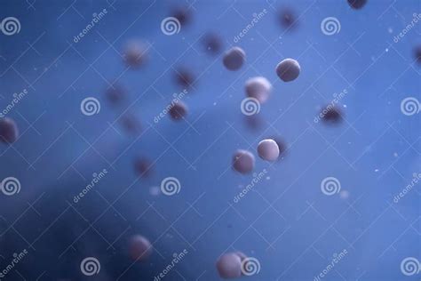 Microcapsules In Cosmetics Background Stock Image Image Of Smear