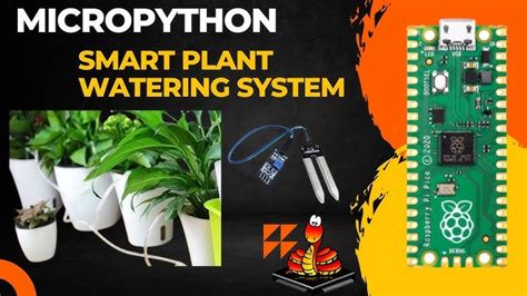 Pdf Smart Irrigation System Using Raspberry Pi
