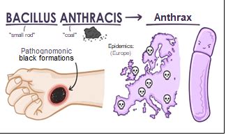 Watch Out For Anthrax Prevention And Protection Measures