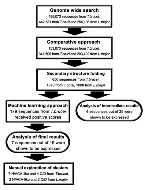 Schematic Representation Of The Genome Wide Search Pipeline The