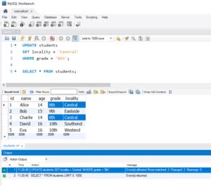 SQL UPDATE Statement Syntax Examples