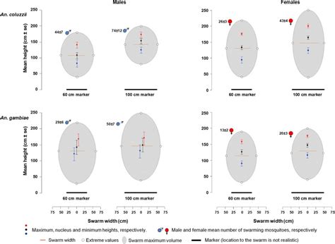 Sex Aggregation And Species Segregation Cues In Swarming Mosquitoes