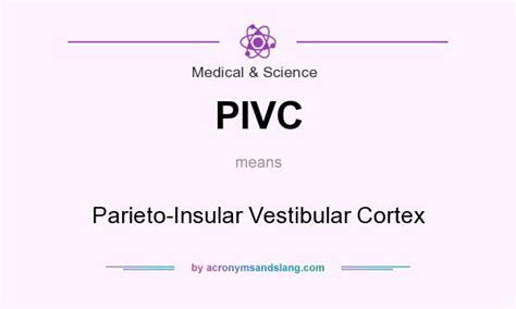 Pivc Parieto Insular Vestibular Cortex In Medical And Science By
