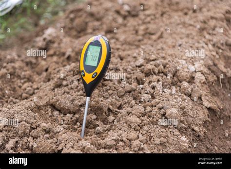 Check PH Value In Planting Soil Stock Photo Alamy