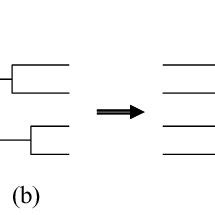 The Three Stages Of Progressive Multiple Sequence Alignment A