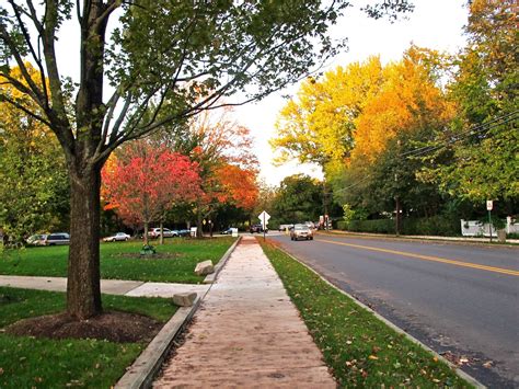 Fall Foliage In Concord Mass Artofit