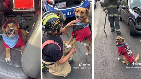 El Impactante Video De Un Edificio Que Se Balancea En La Colonia