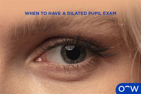 Dilated Pupil Exam Definition Importance Preparations